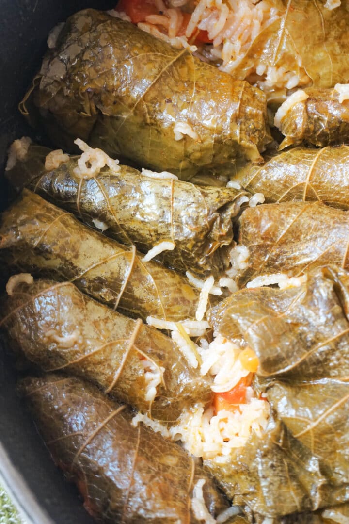 Stuffed Grape Leaves (Dolma) - My Gorgeous Recipes