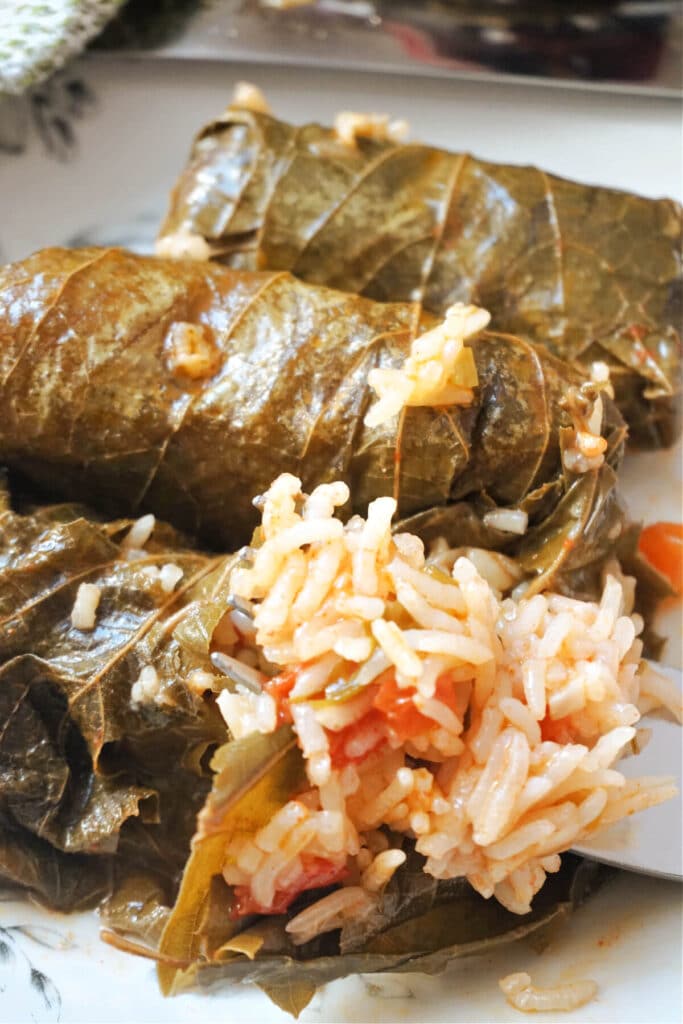 Stuffed Grape Leaves (Dolma) - My Gorgeous Recipes