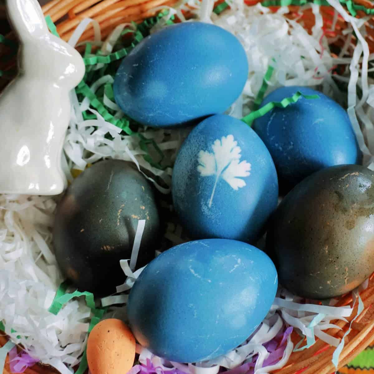 How to Dye Easter Eggs with Red Cabbage - My Gorgeous Recipes