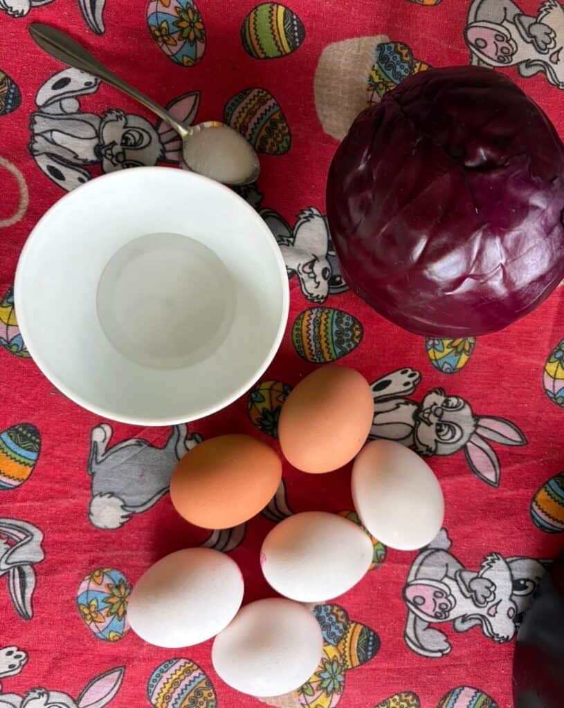 How to Dye Easter Eggs with Red Cabbage - My Gorgeous Recipes