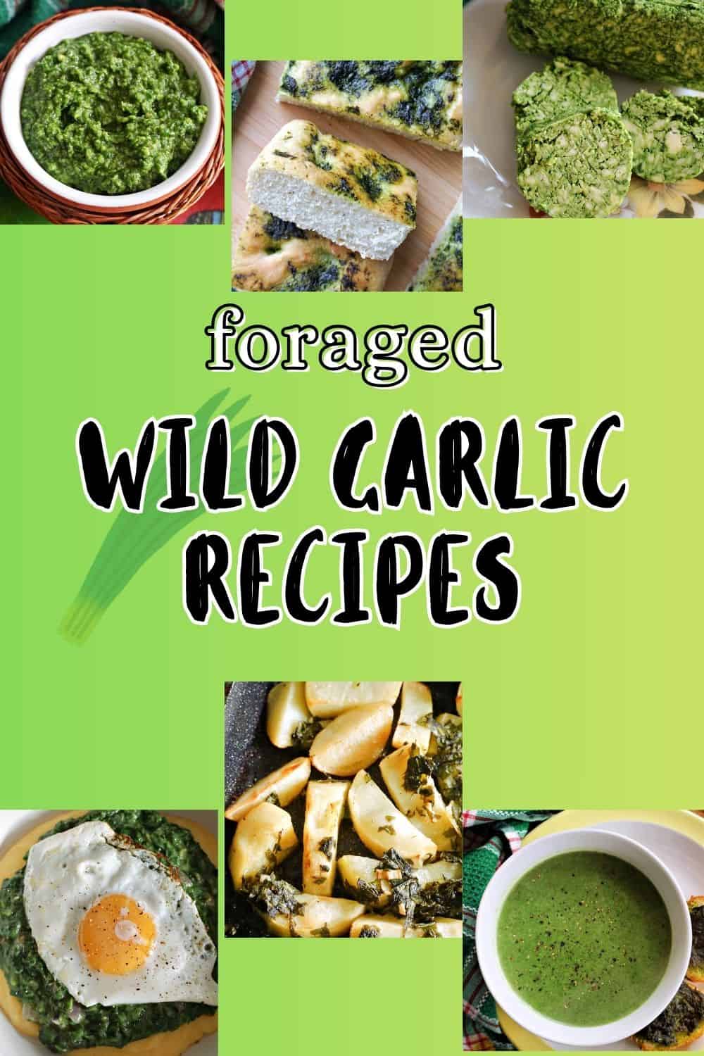 Easy Wild Garlic Recipes - My Gorgeous Recipes